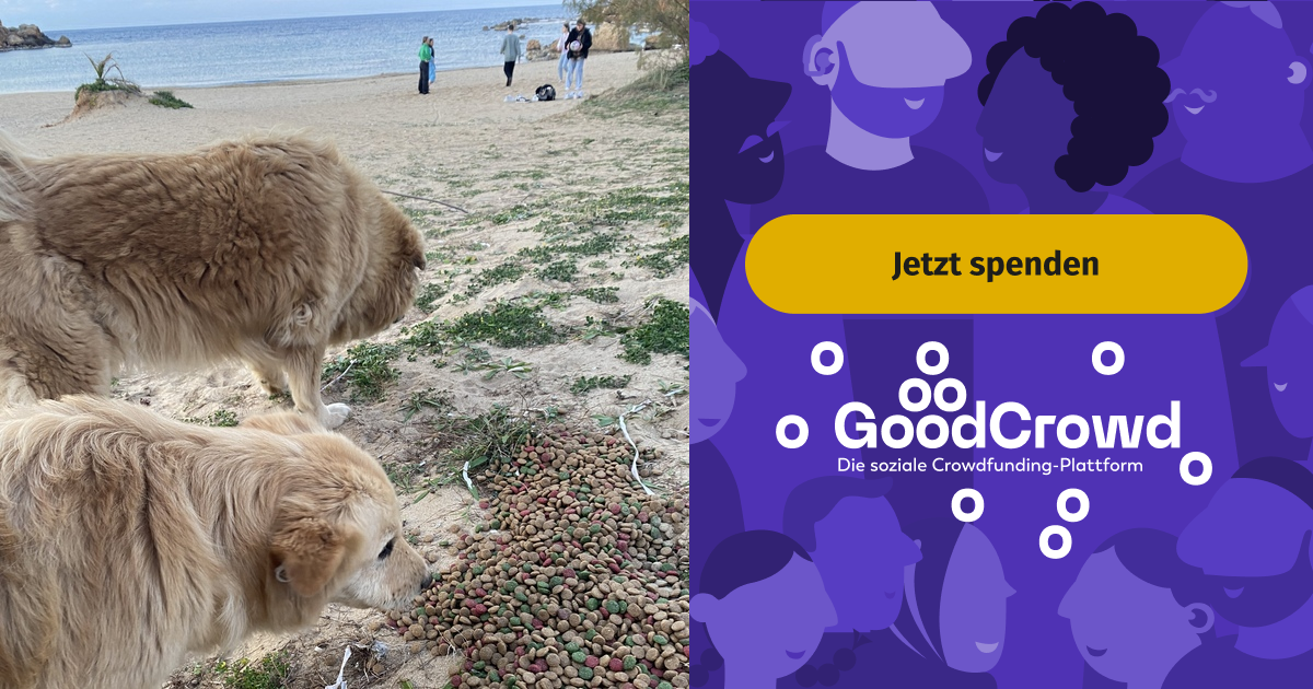 a wonderful person needs your help | GoodCrowd.org