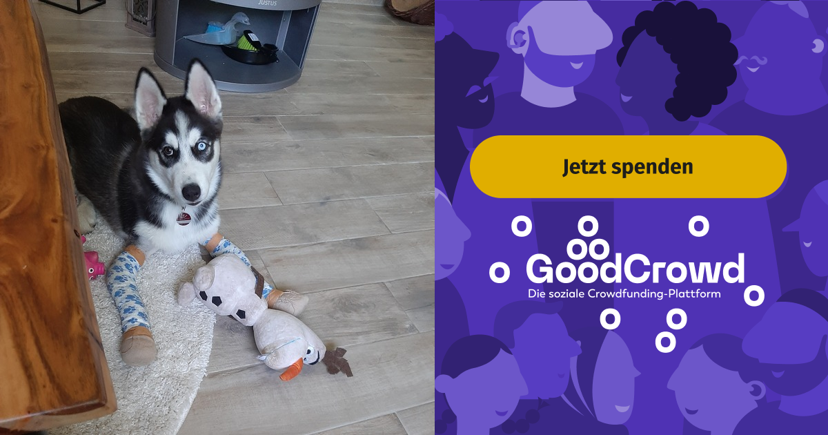 Behandlung des Short-Ulna-Syndroms für Nuka | GoodCrowd.org