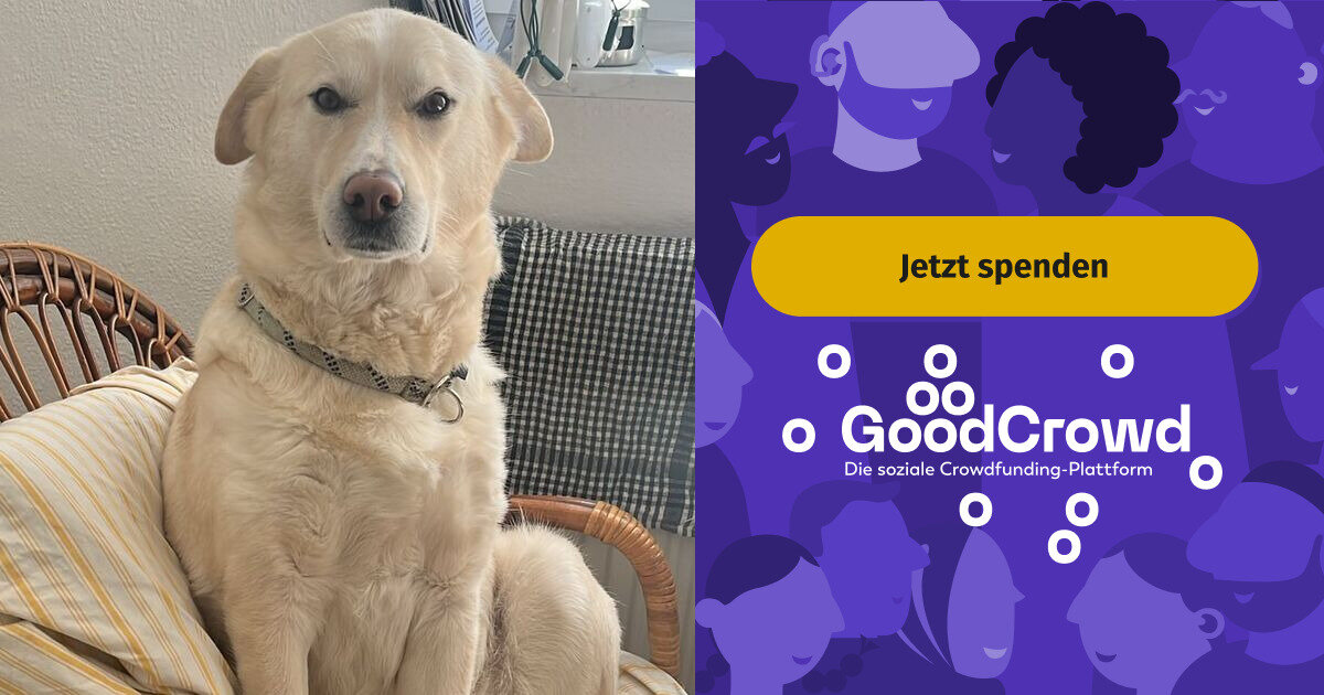 Bitte helft mir, Angel zu retten. 🐾 ️ | GoodCrowd.org