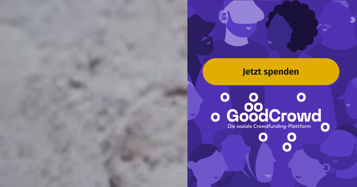 Marvin und das Cornelia de Lange Syndrom | GoodCrowd.org