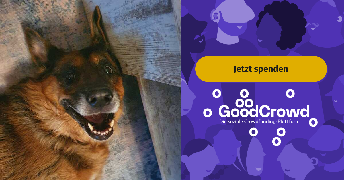 Eine bessere Mensch-Tier-Beziehung | GoodCrowd.org