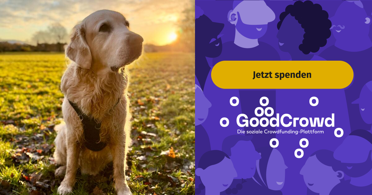 Gemeinsam stark für FRED | GoodCrowd.org