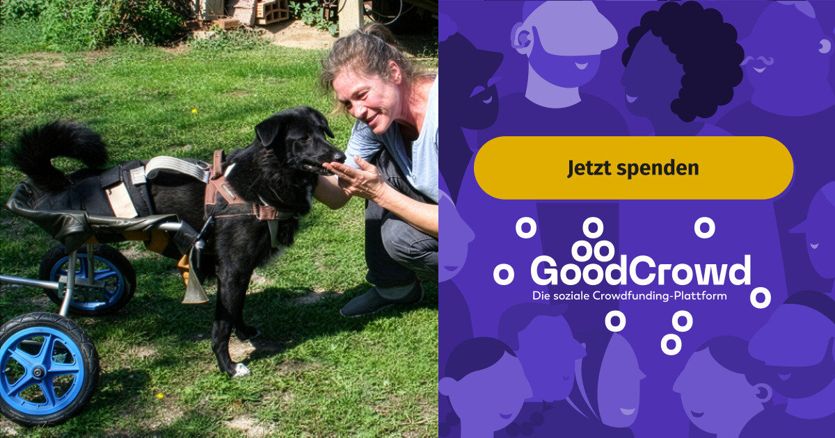 Gemeinsam wieder mobil – für behinderte Hunde | GoodCrowd.org