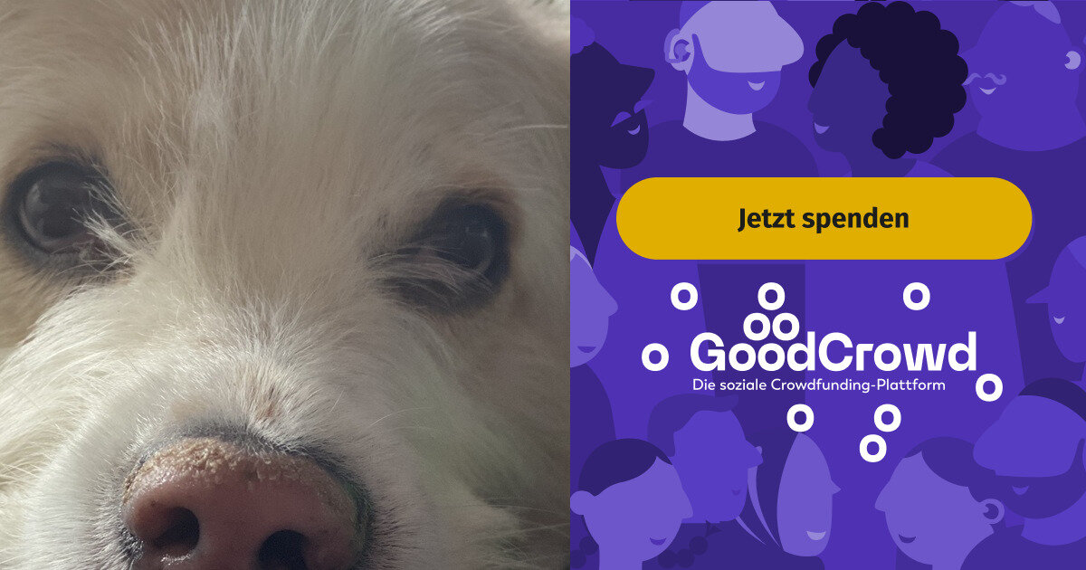 Hilfe für meinen Hund - mein bester Freund | GoodCrowd.org