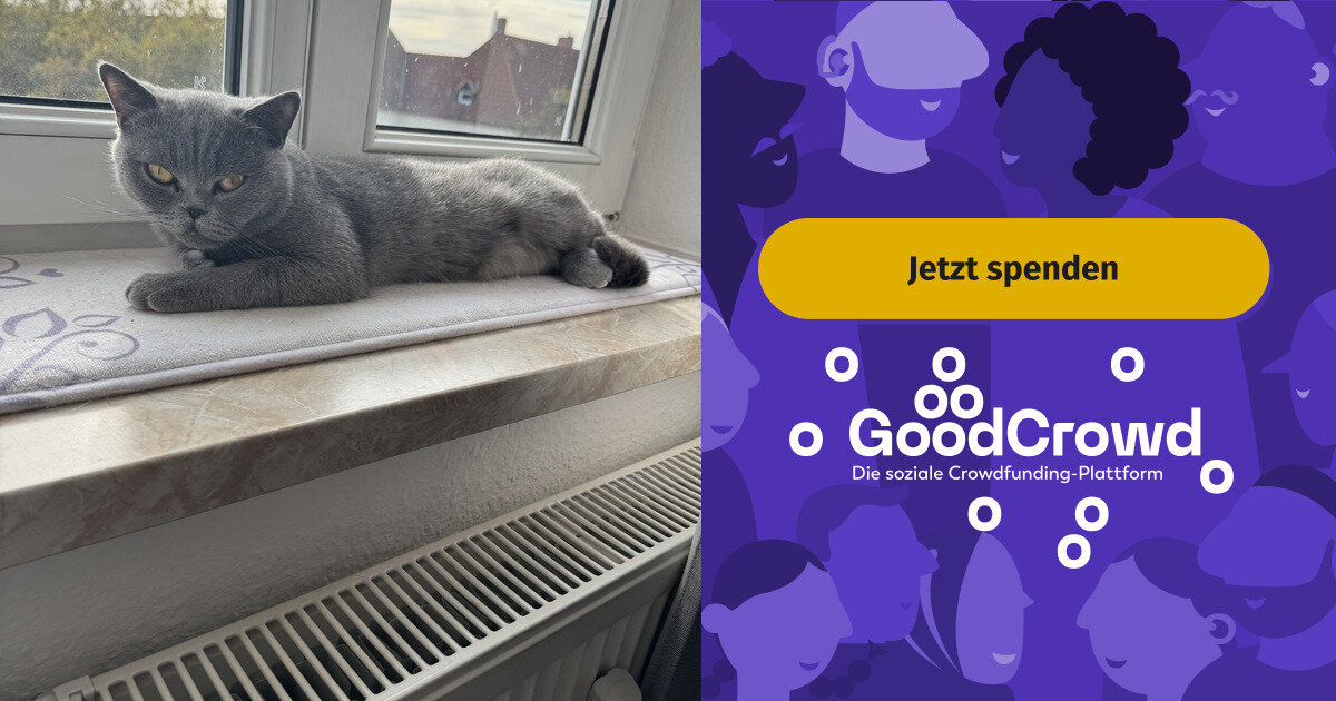 Ich stehe vor dem Nichts, bitte helft mir! | GoodCrowd.org