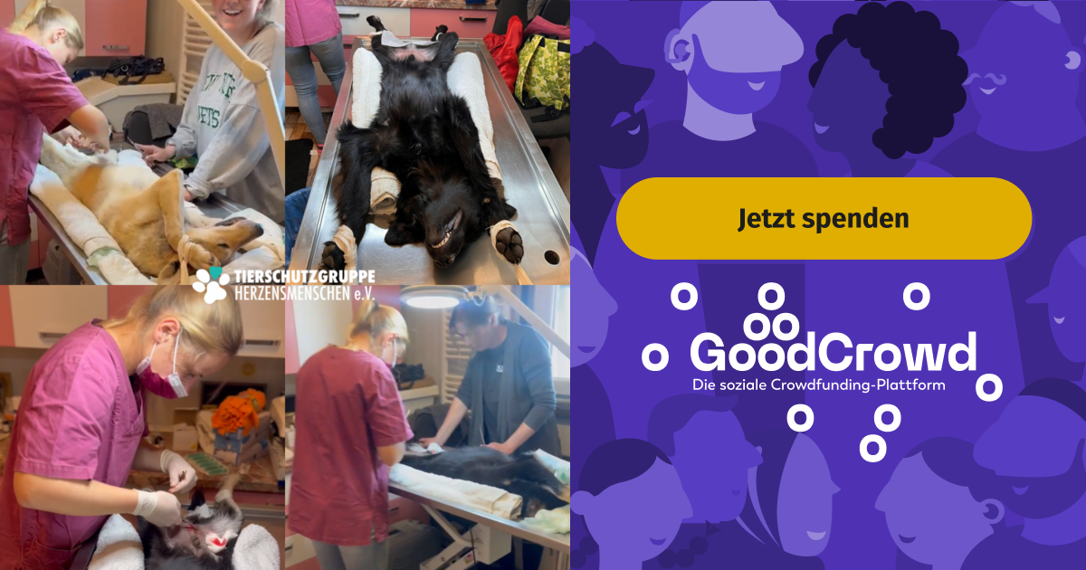 Nachhaltig Leid verhindern ️ | GoodCrowd.org