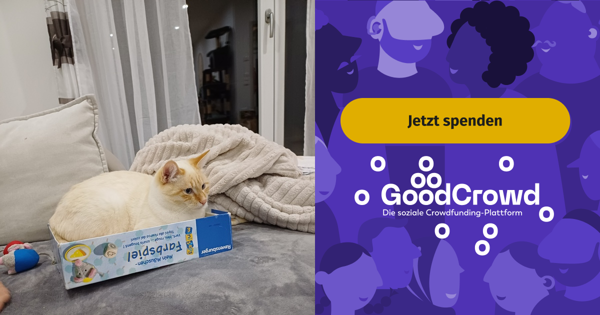 Operation Katze Loki | GoodCrowd.org