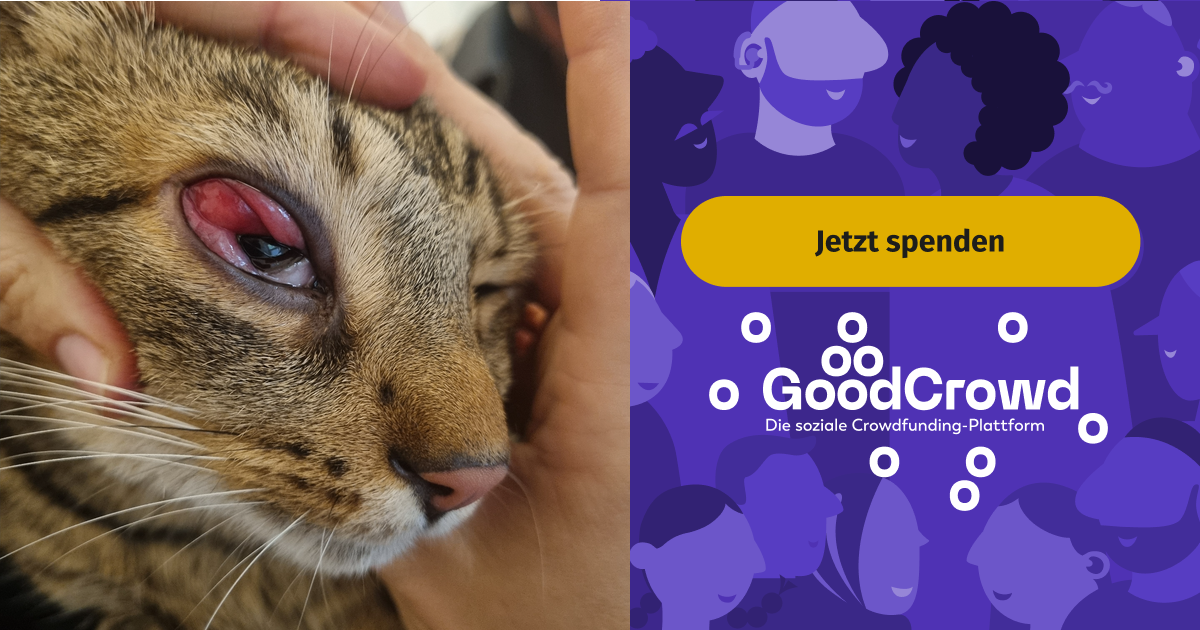 Please help me pay bills | GoodCrowd.org