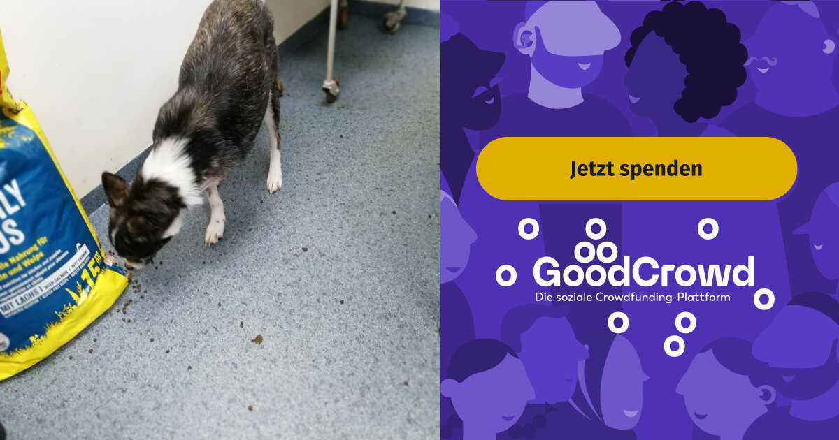 Soko Streuner e. V. Für unseren Hund | GoodCrowd.org